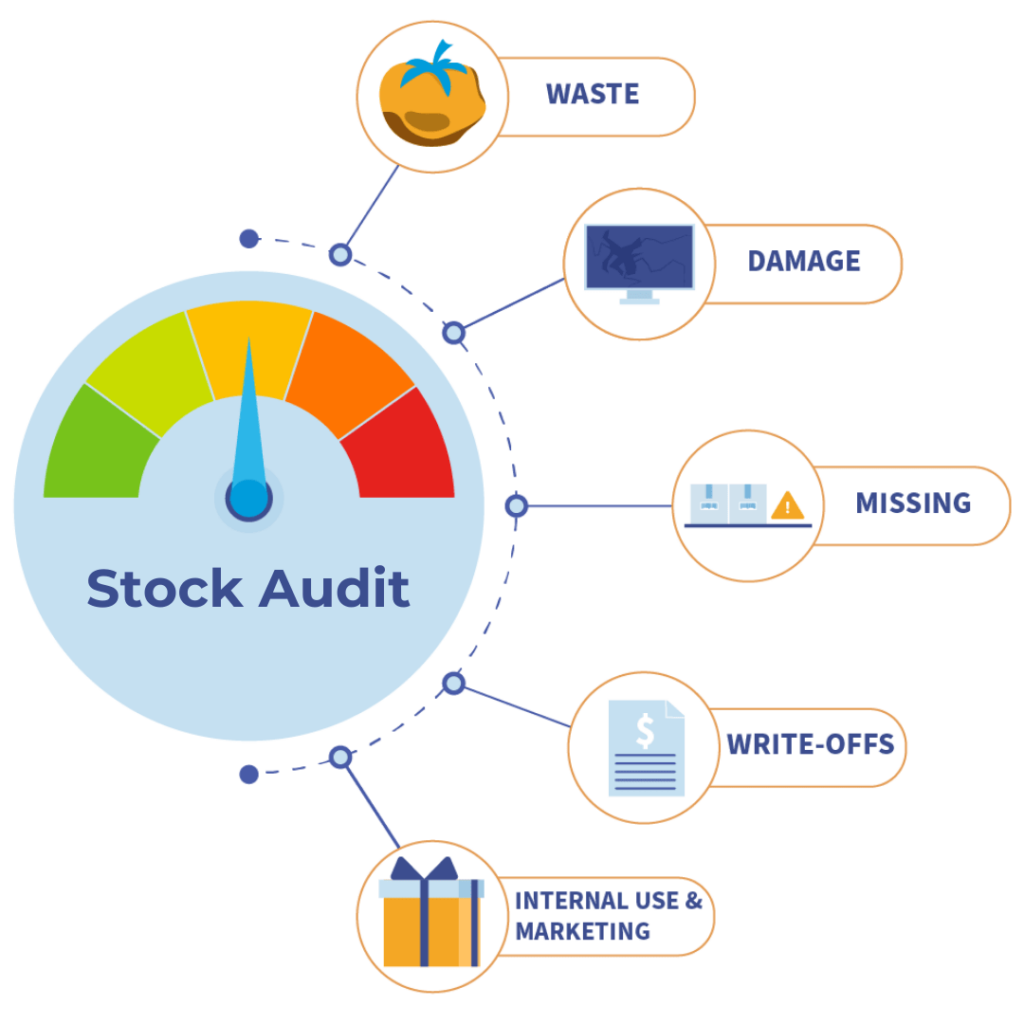 Stock Audit Software | Stock Auditing for Inventory Management